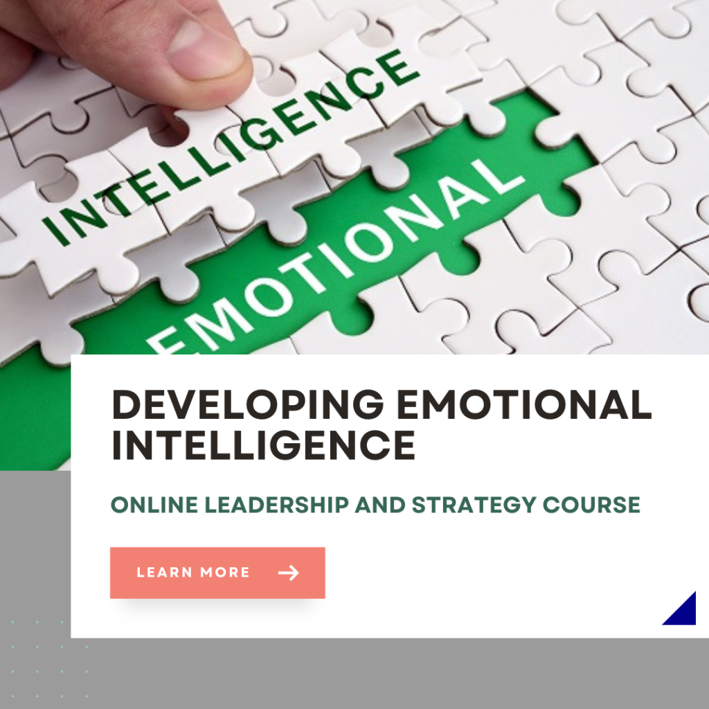Developing Emotional Intelligence - Global Management Academy