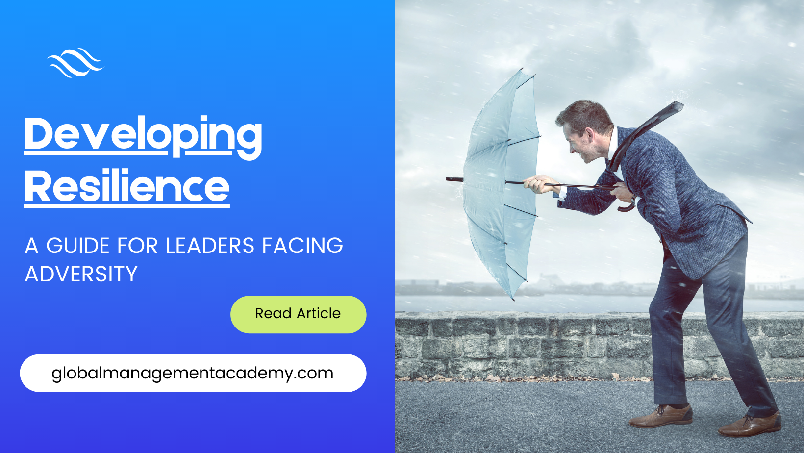 Developing Resilience: A Guide for Leaders - Global Management Academy Developing Resilience: A Guide for Leaders - Global Management Academy